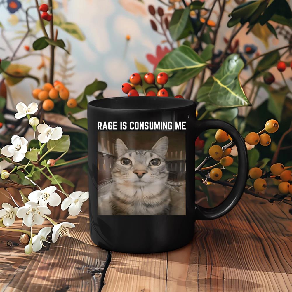 Rage Is Consuming Me Meme Cat Meme Oddly Specific Memes Joke Mug ...